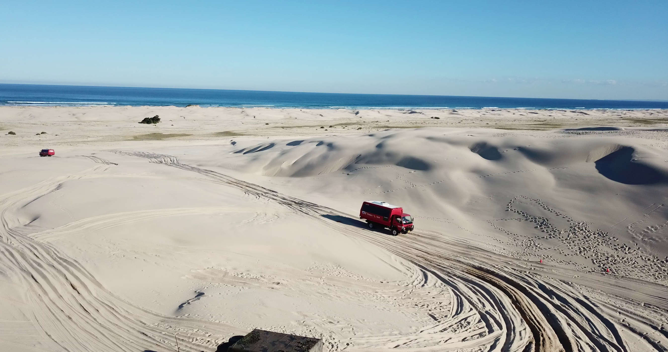Port Stephens Sandboarding Blog | 4WD Tour Tips & Local News
