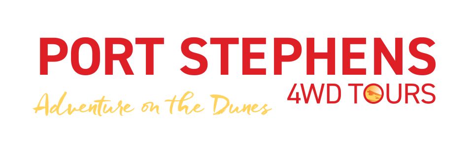 Port Stephens 4WD Tours | Sandboarding Shuttle and Adventure Tours